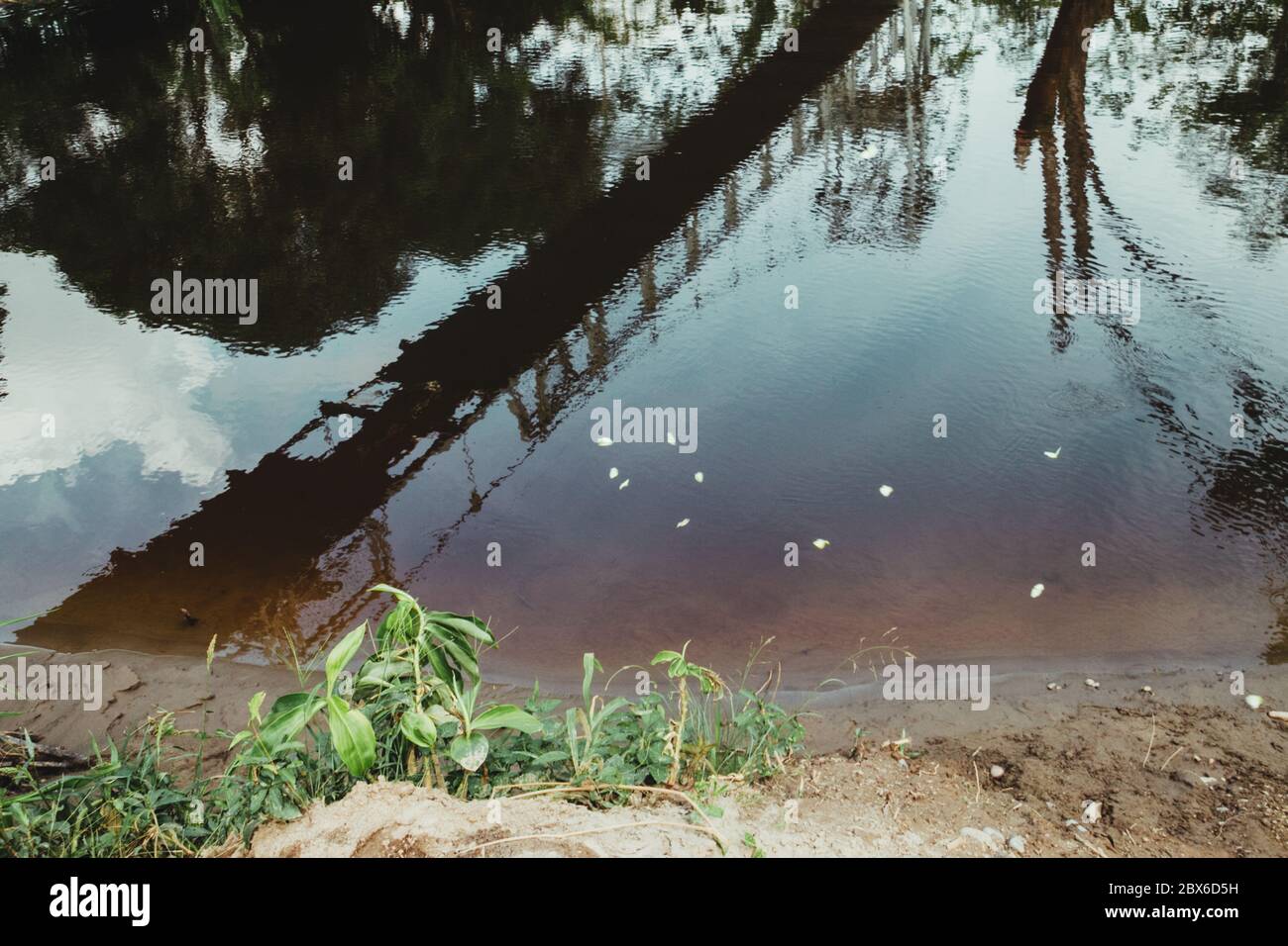 bridge over the river in the amazon, metal structure, large bridges ...