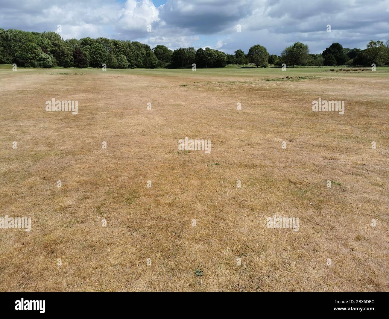 Uk parched grass hi-res stock photography and images - Alamy