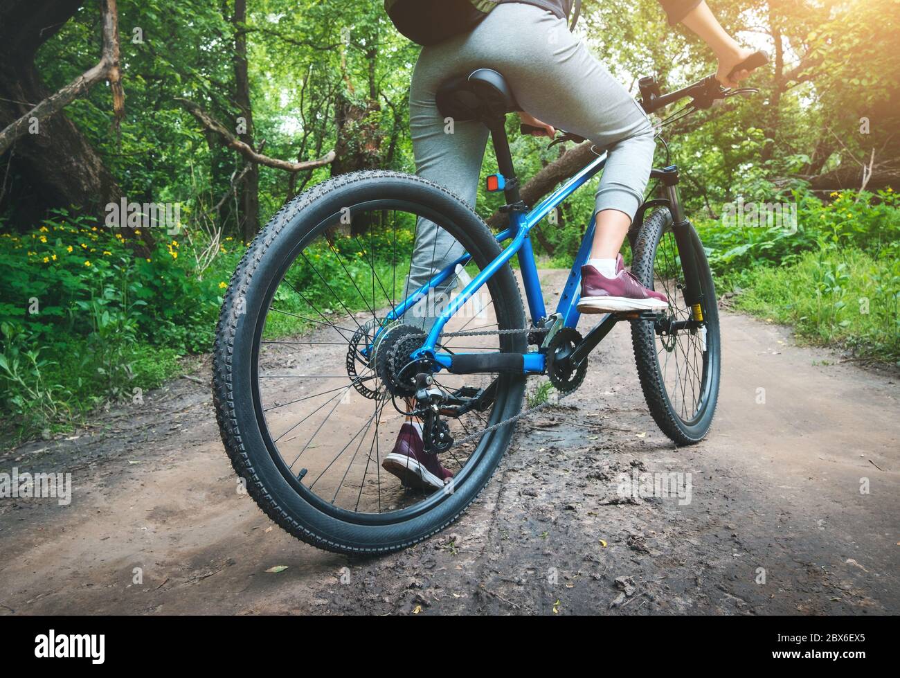 Woman cycle in summer hi-res stock photography and images - Alamy