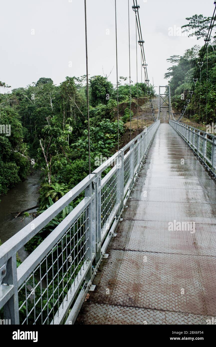 bridge over the river in the amazon, metal structure, large bridges ...