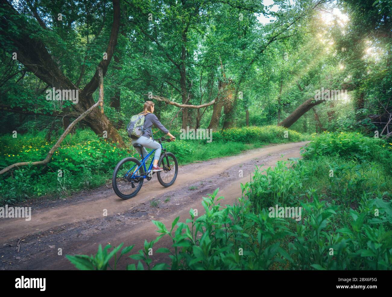 Bike ride in the forest hi-res stock photography and images - Alamy