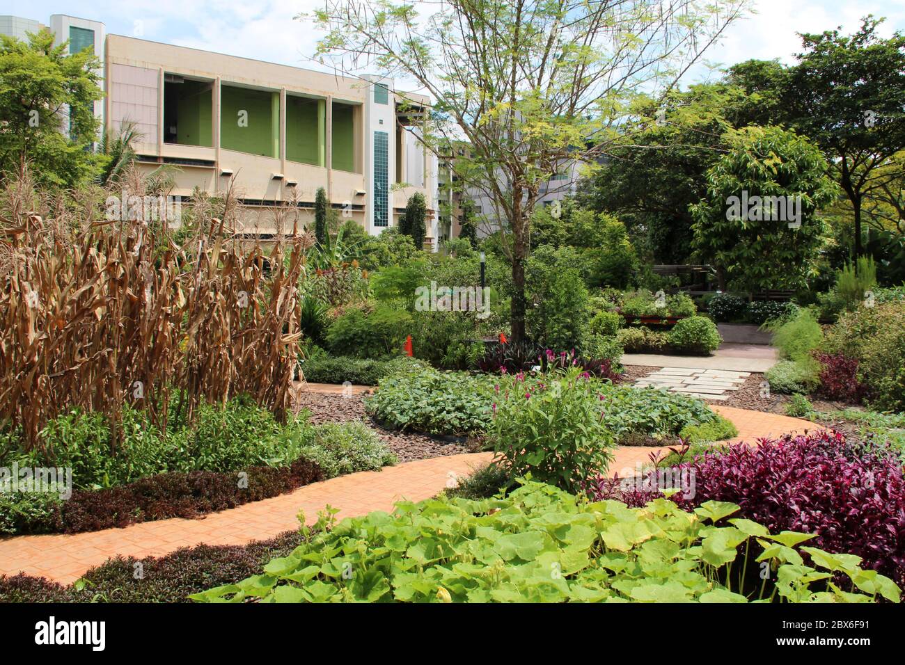 hort park in singapore Stock Photo - Alamy