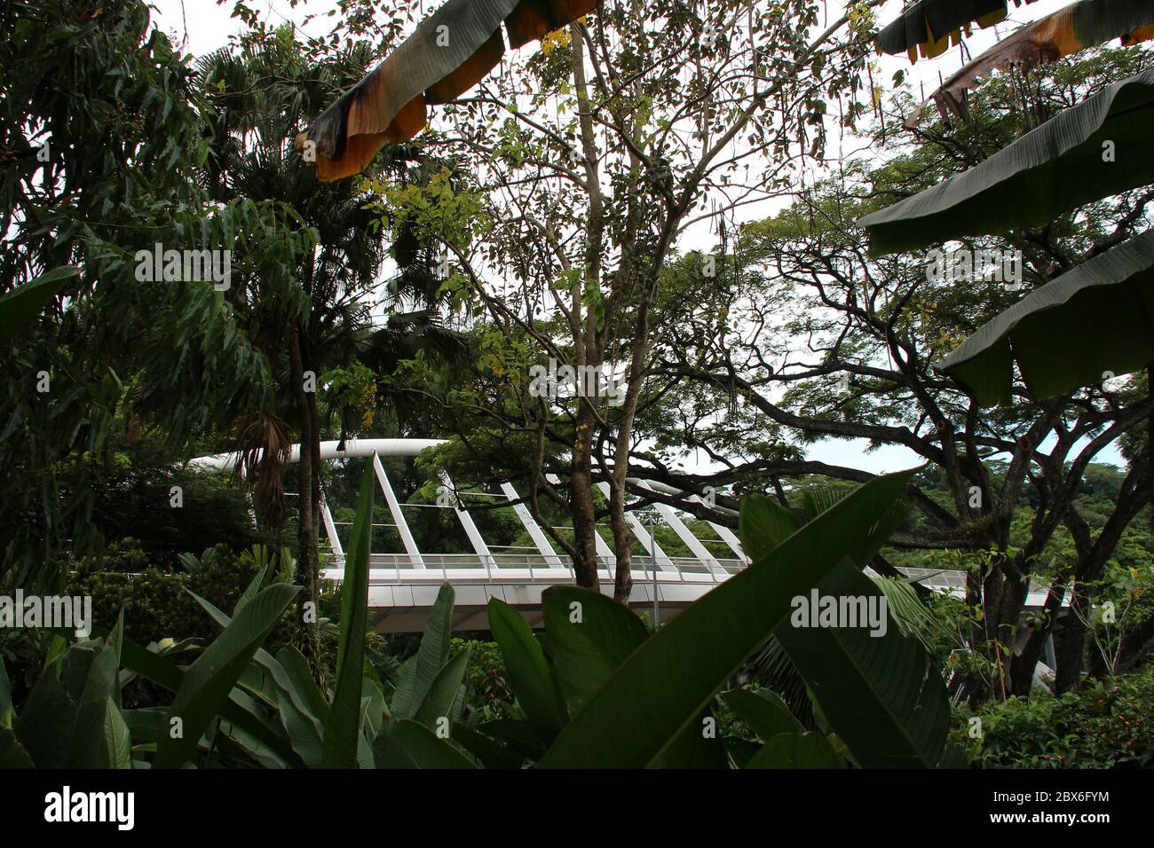hort park in singapore Stock Photo - Alamy
