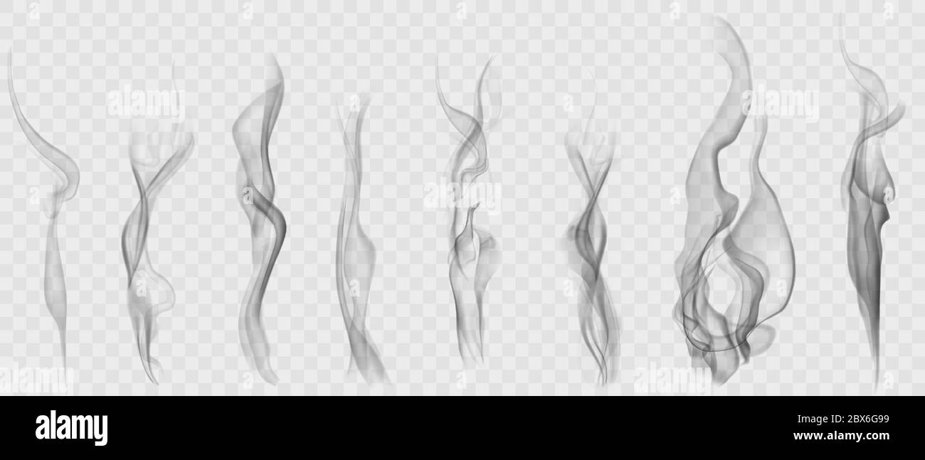Set of realistic transparent smoke or steam in white and gray colors ...