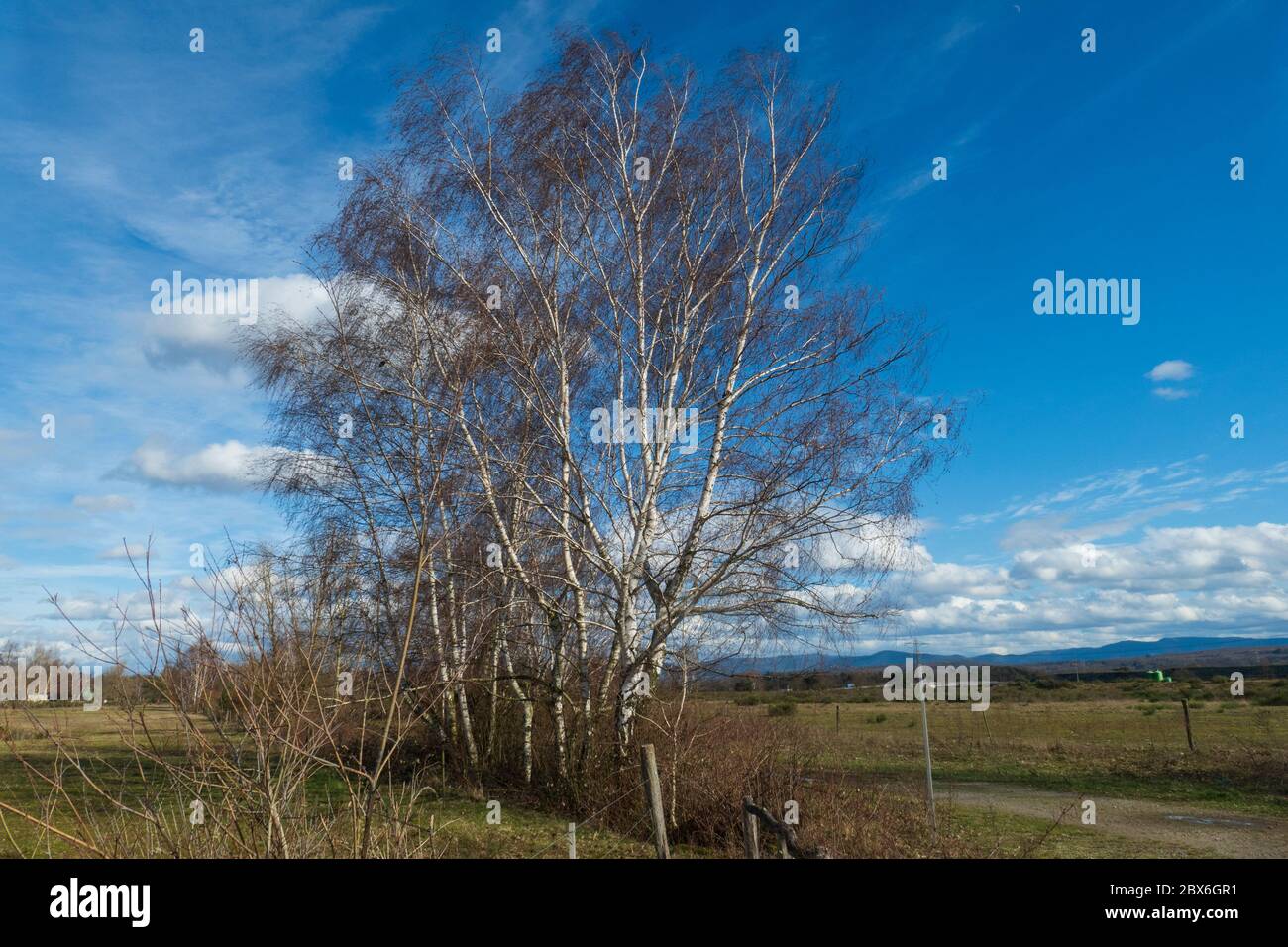 Baden baden sandweier hi-res stock photography and images - Alamy