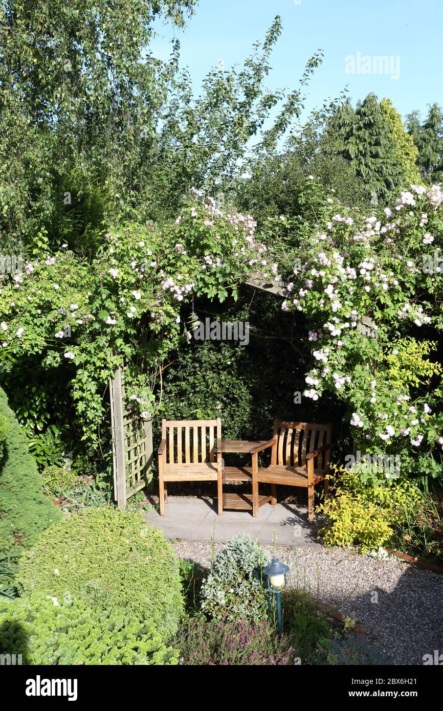 Wooden garden chairs and table under an arch covered with flowering ...