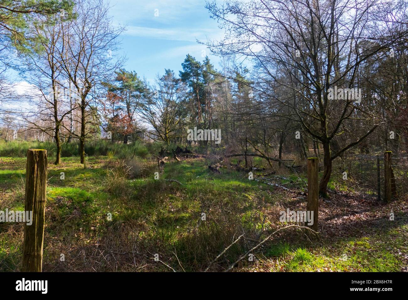 Baden baden sandweier hi-res stock photography and images - Alamy