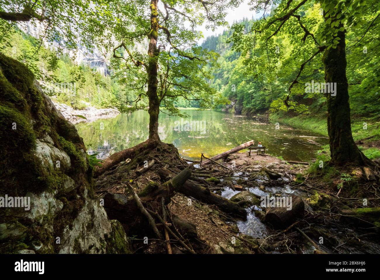 Woman sitting at the lakeshore of the legendary Lake Kammersee, Ausseer ...