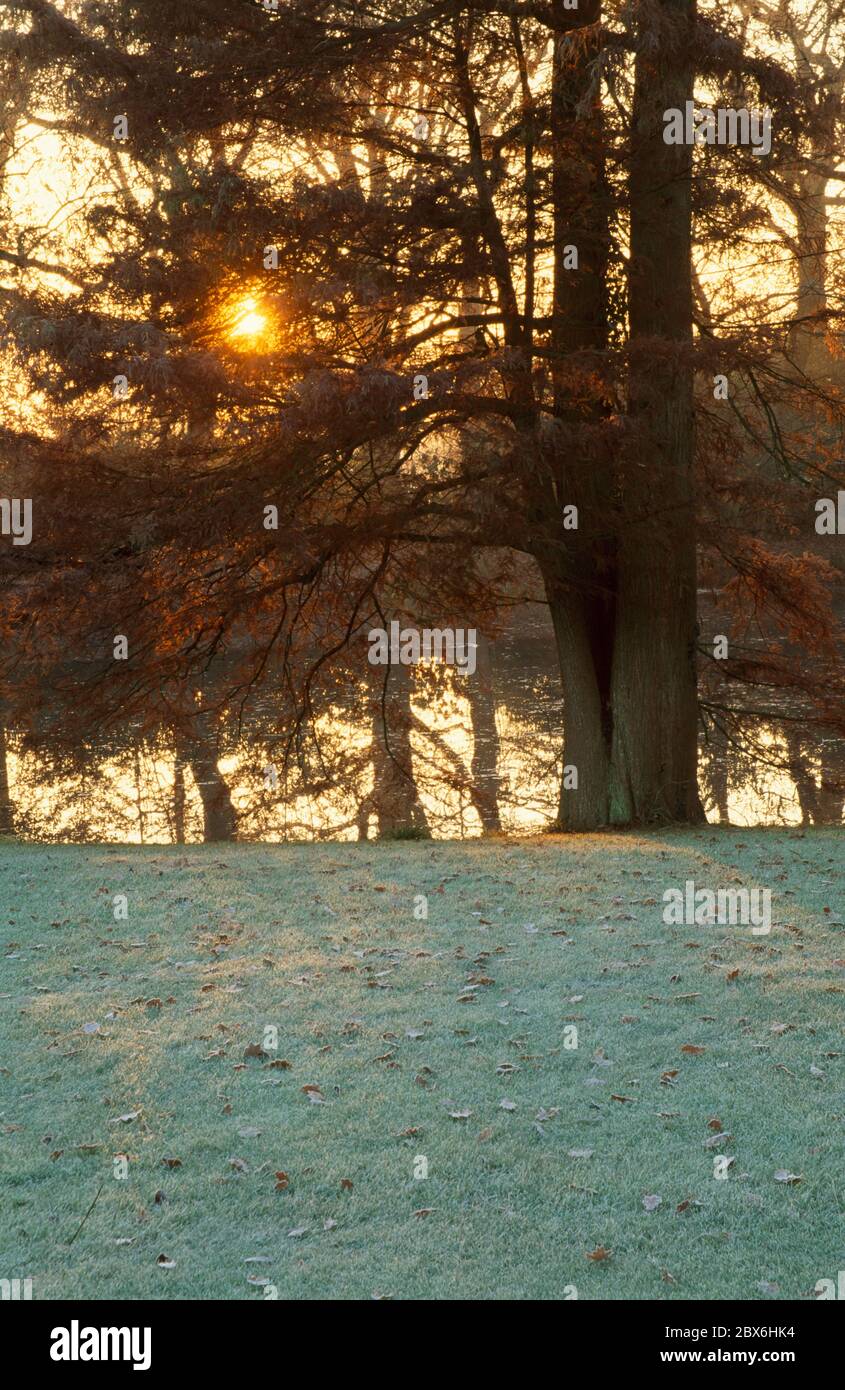 Frosty spring morning hi-res stock photography and images - Alamy