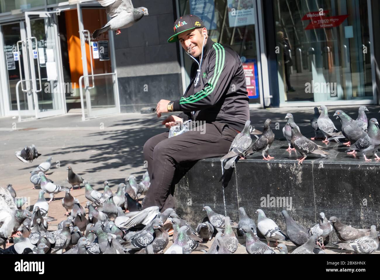 Pigeons at ease hi-res stock photography and images - Alamy