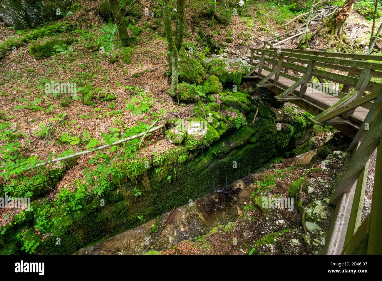 Trench in the rock, made by raftsmen centuries ago, deep in the ...