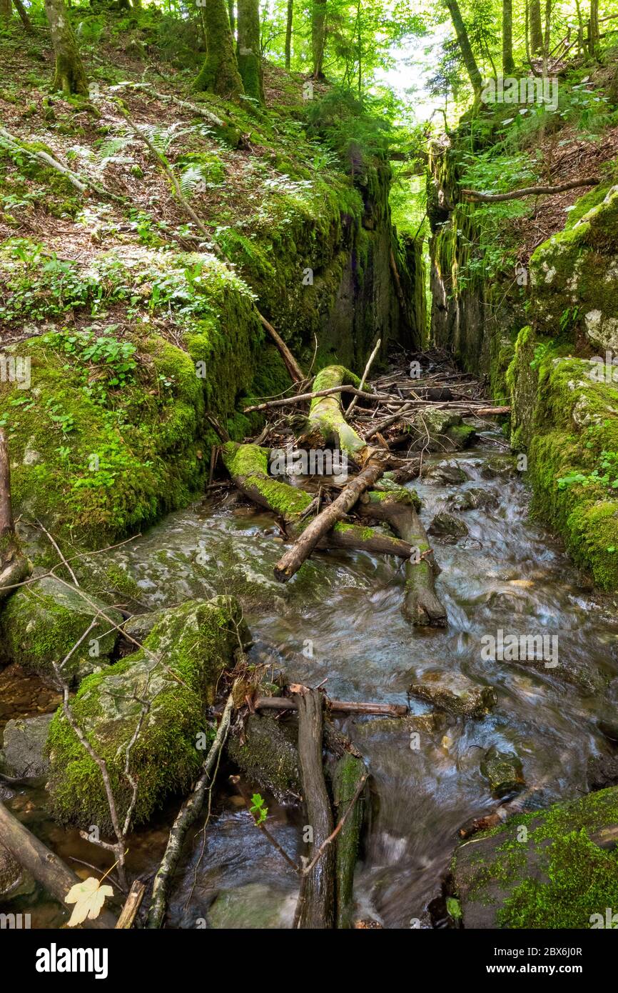 Trench in the rock, made by raftsmen centuries ago, deep in the ...
