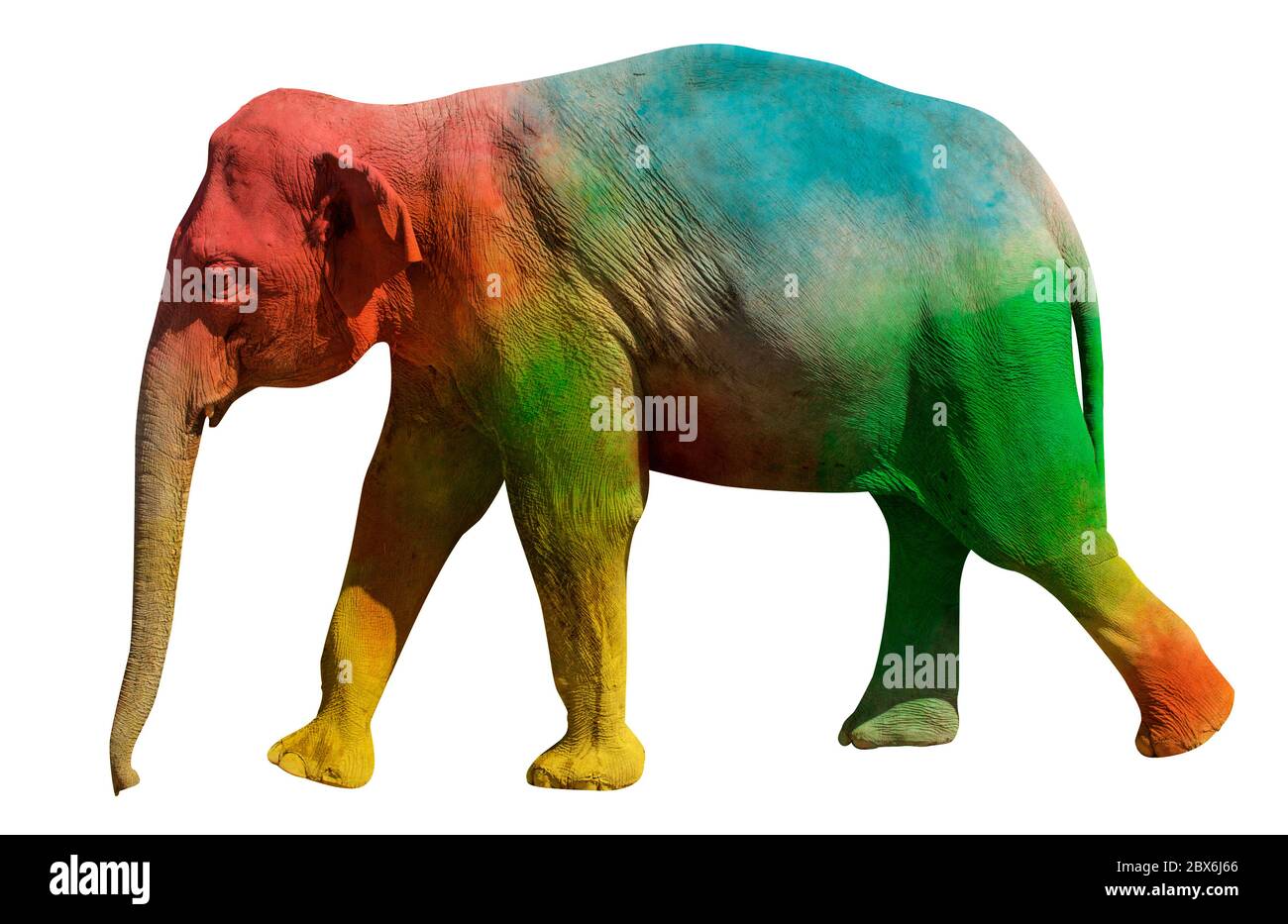 Walking elephant painted in psychedelic colors red, green, blue and ...