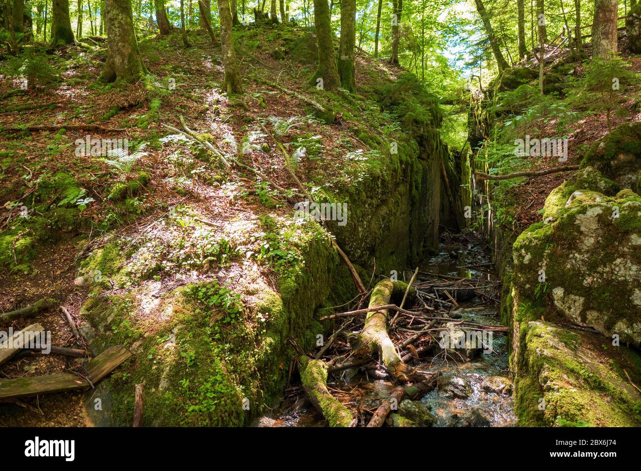 Trench in the rock, made by raftsmen centuries ago, deep in the ...