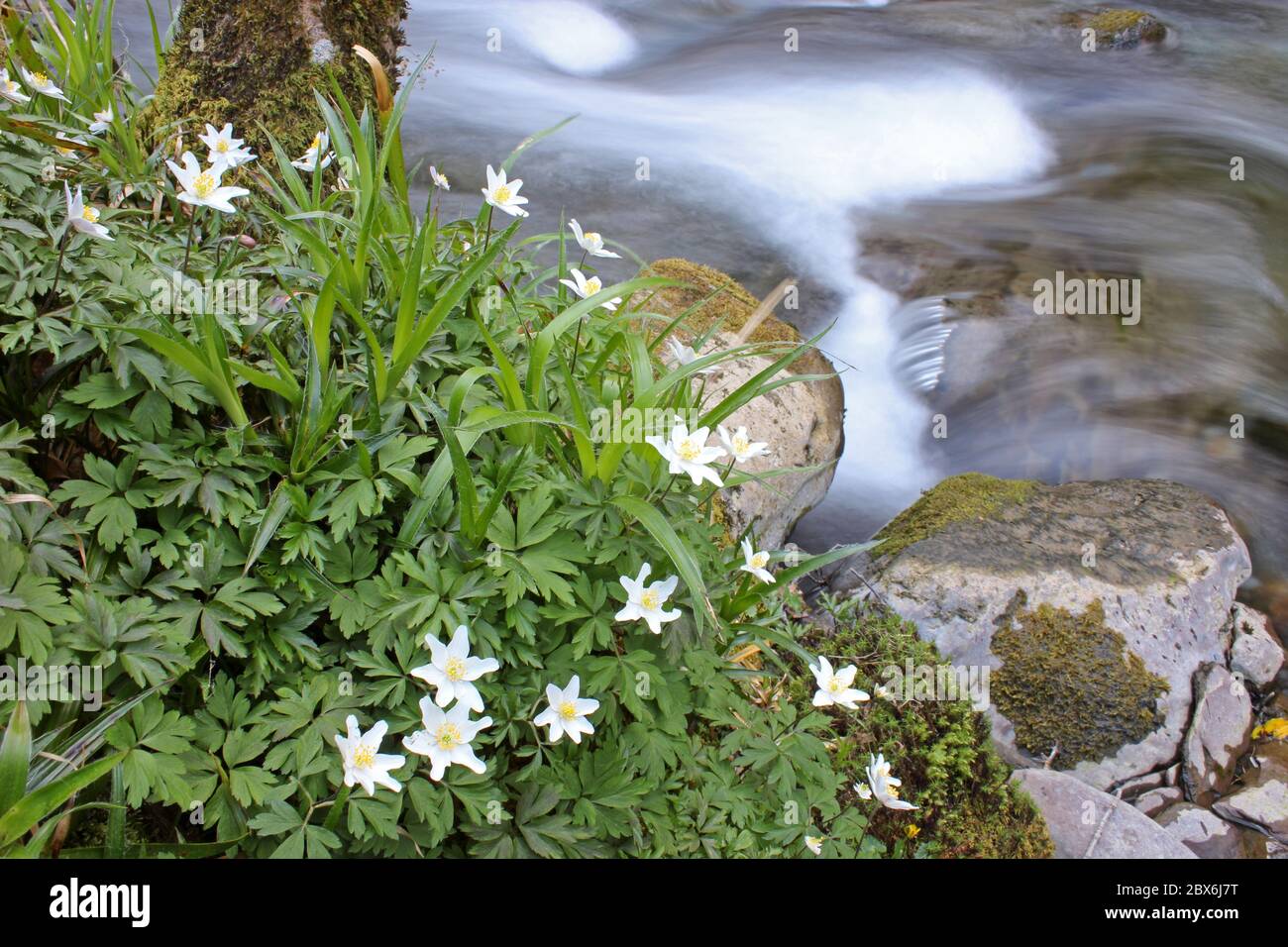 River dulas corris hi-res stock photography and images - Alamy