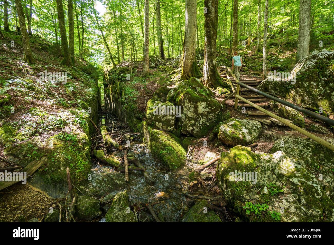Trench in the rock, made by raftsmen centuries ago, deep in the ...