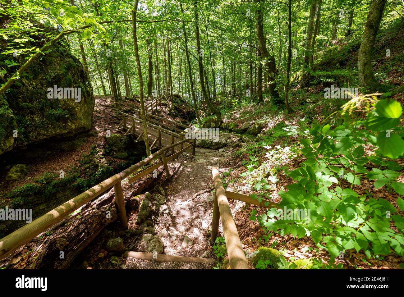 Trench in the rock, made by raftsmen centuries ago, deep in the ...