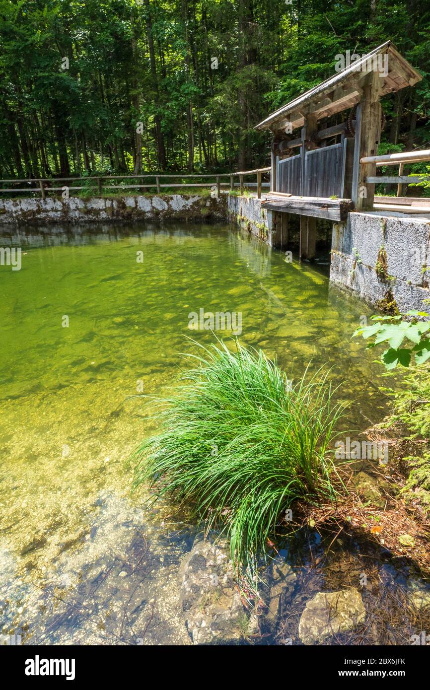 View of an ancient wooden watergate at the legendary Lake Toplitz ...