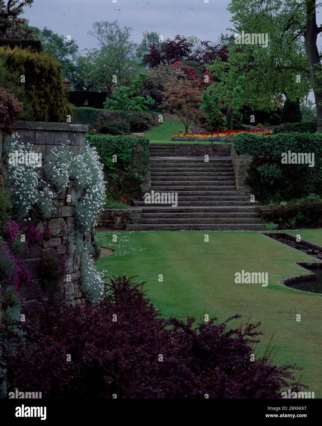 Wide stone steps in large formal garden Stock Photo - Alamy
