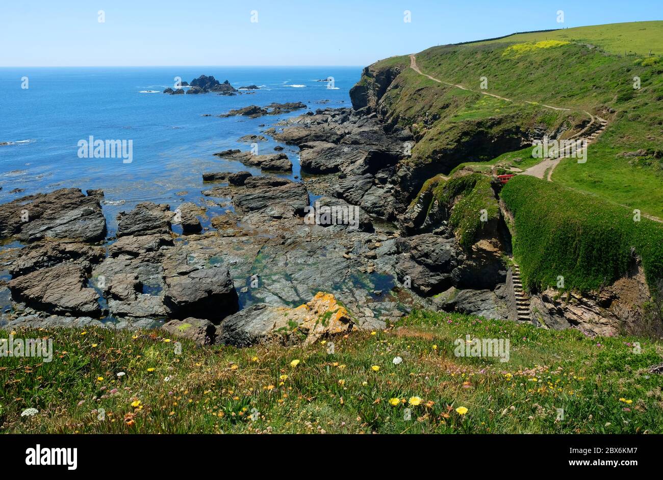 Coastal path lizard peninsula hi-res stock photography and images - Alamy