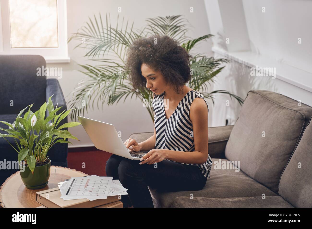 Staring at monitor hi-res stock photography and images - Alamy