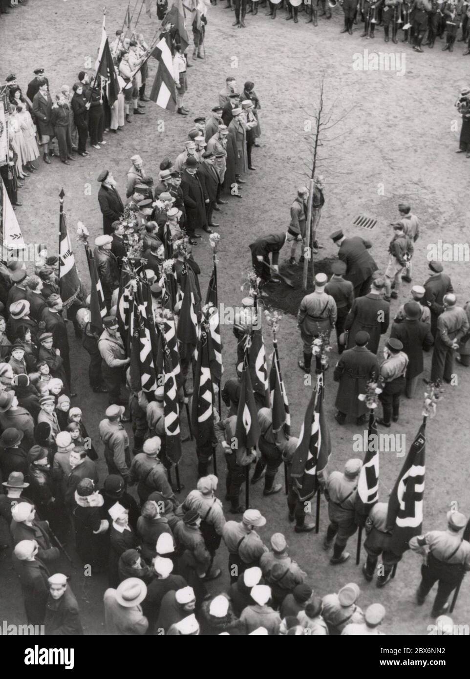 Planting an Adolf Hitler oak. Heinrich Hoffmann Photographs 1933 Adolf ...