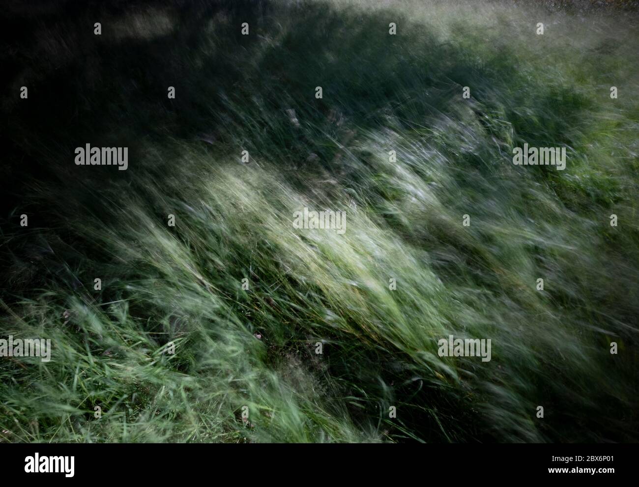 High wind hi-res stock photography and images - Alamy