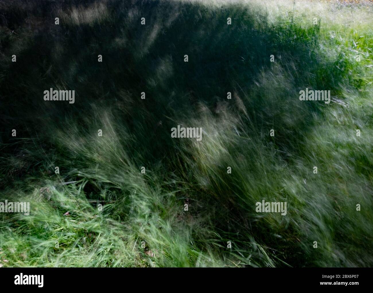 High wind hi-res stock photography and images - Alamy