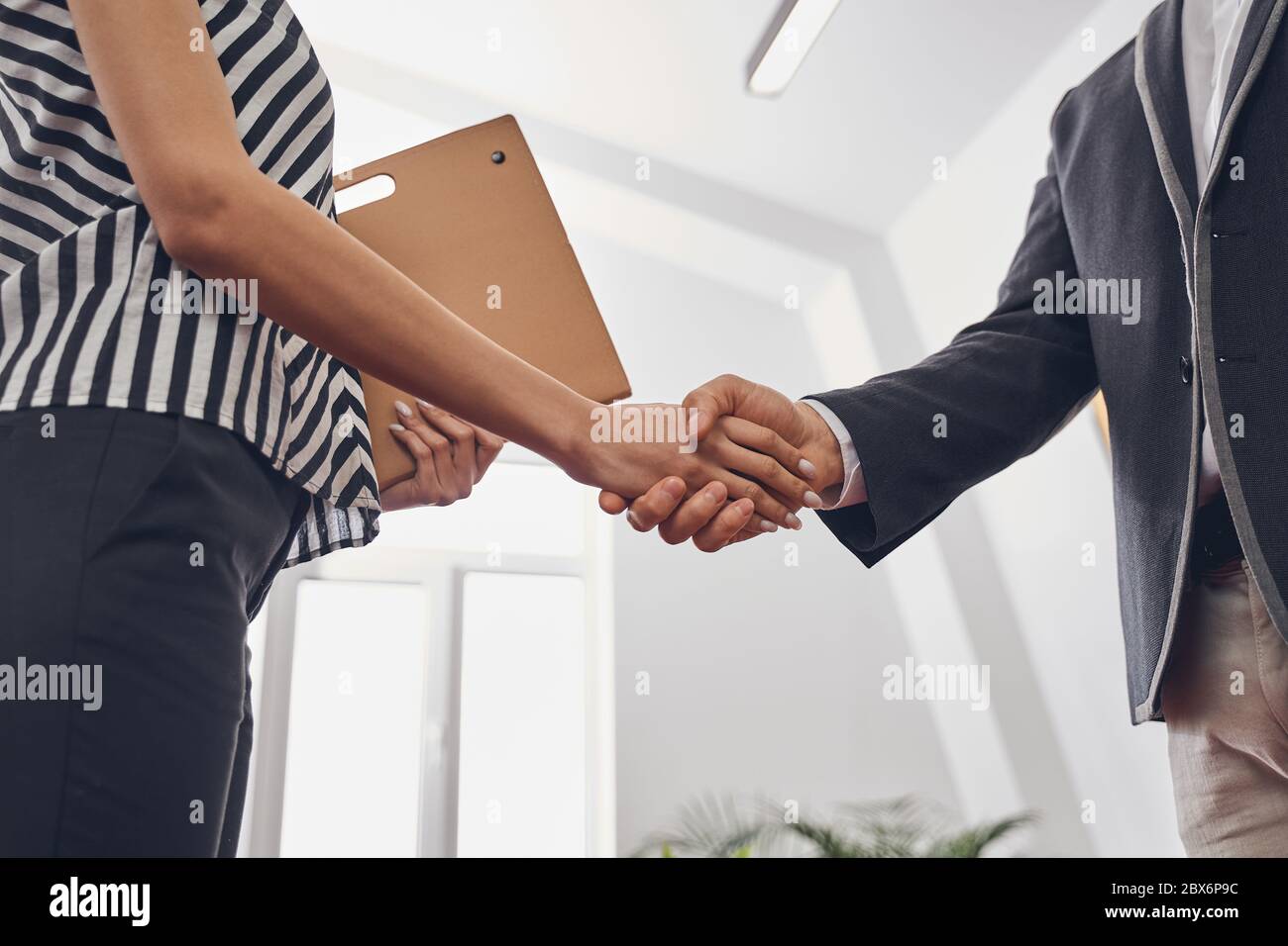 Stylish female entrepreneur and business partner greeting each other ...