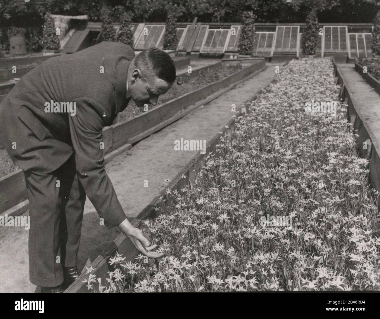 Heinrich Hoffmann Photographs Heinrich Hoffmann Photographs 1933 Adolf ...