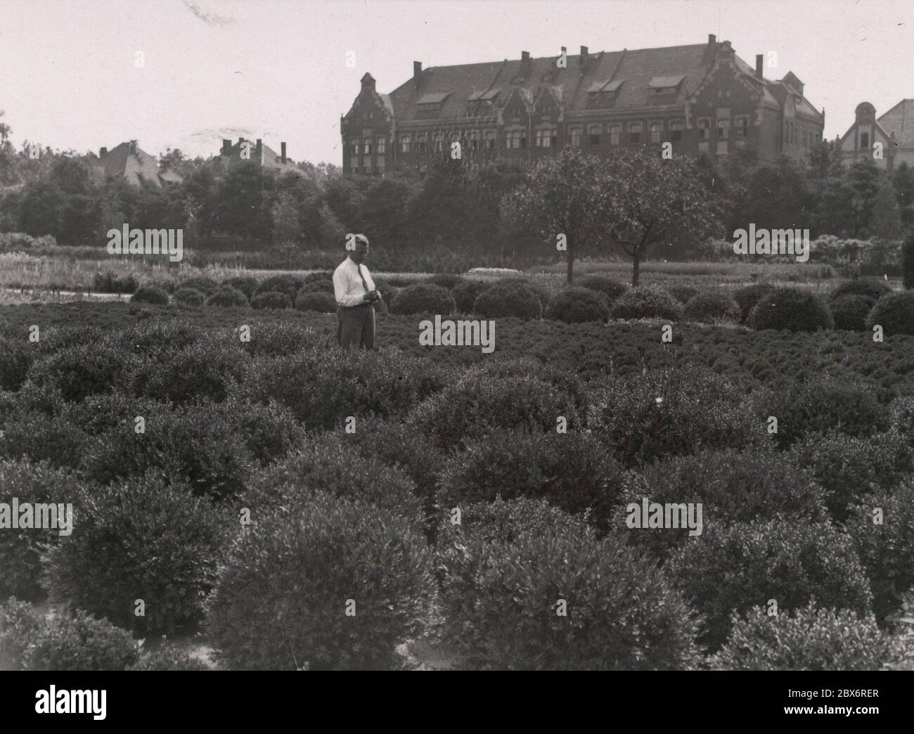 Heinrich Hoffmann Photographs Heinrich Hoffmann Photographs 1933 Adolf ...