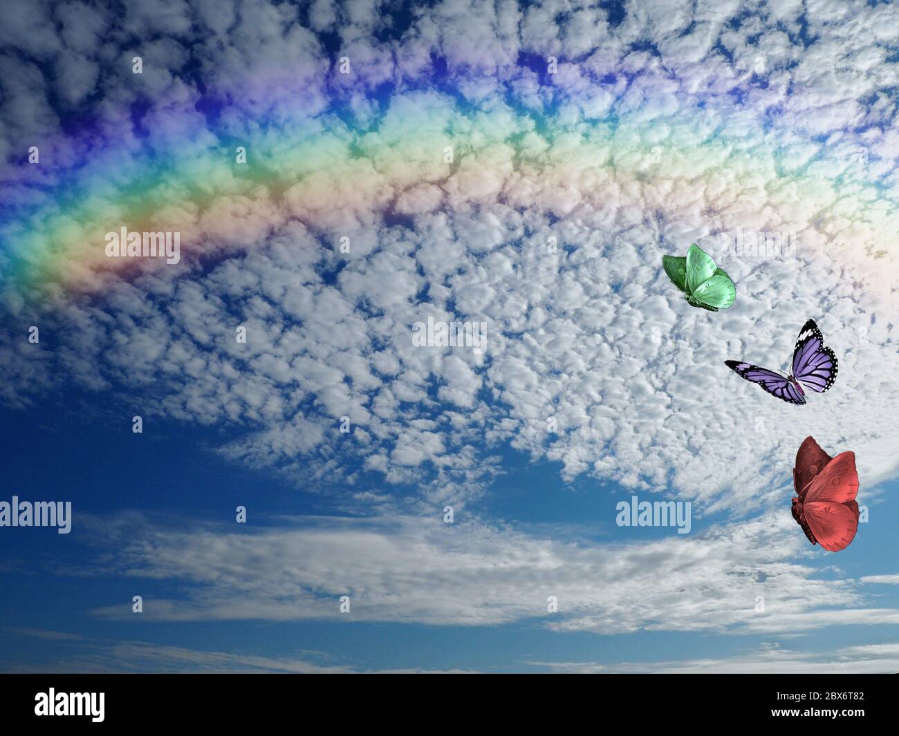 Natural background with butterflies and rainbow in sea reflection with ...