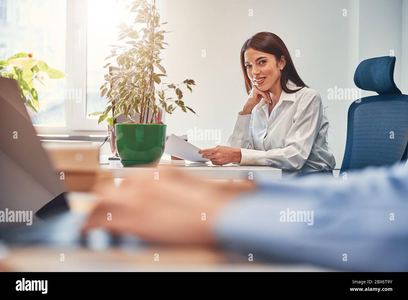 Young colleagues working in modern sunny office Stock Photo - Alamy