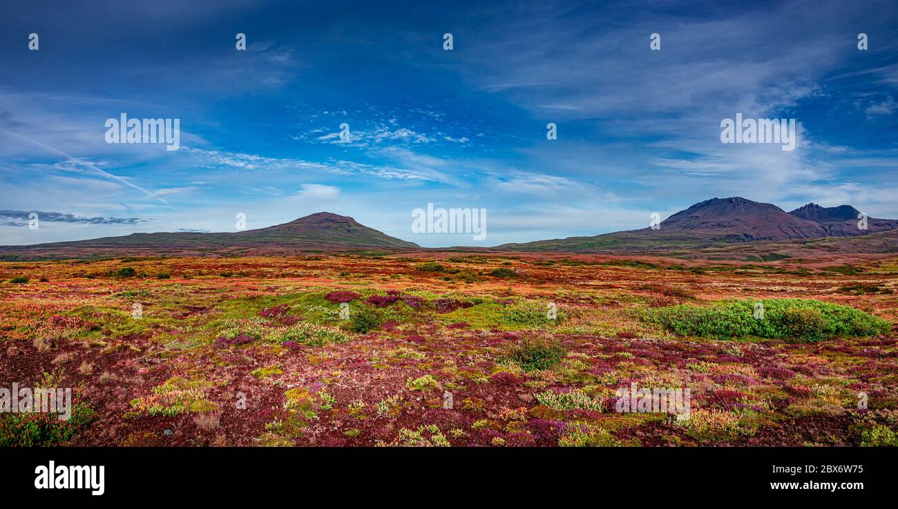 Panoramic view over beautiful colorful landscape with ancient moss and ...