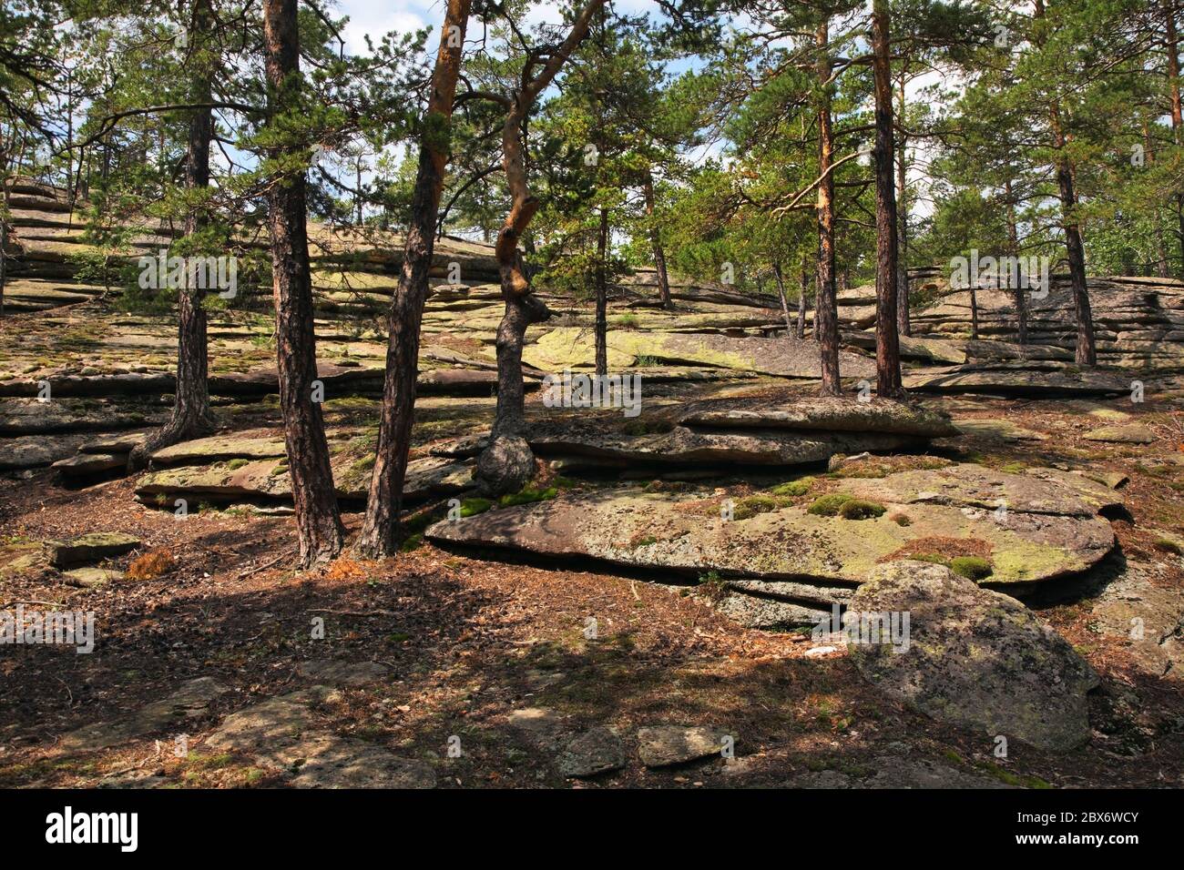 The karkaraly national park hi-res stock photography and images - Alamy