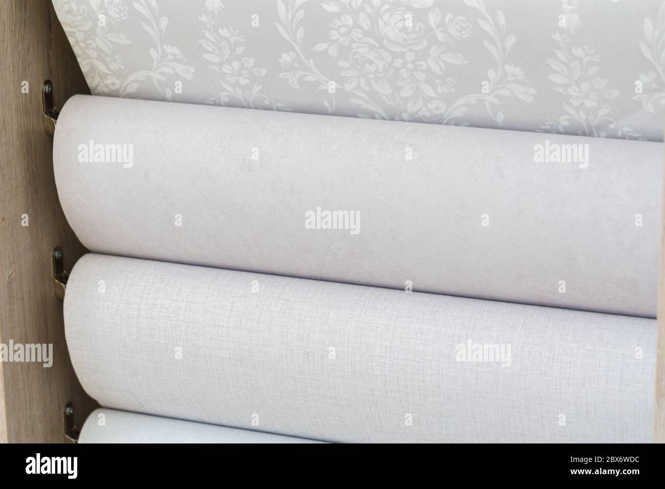 trendy multicolored modern design rolls wallpaper as background Stock ...