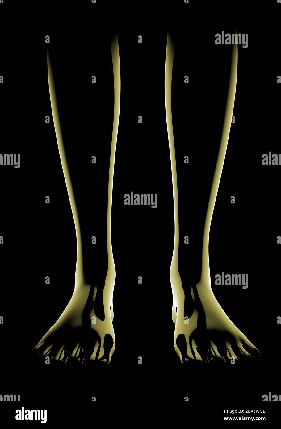 3d rendering. 3d illustration . Human parts with black background .Legs ...