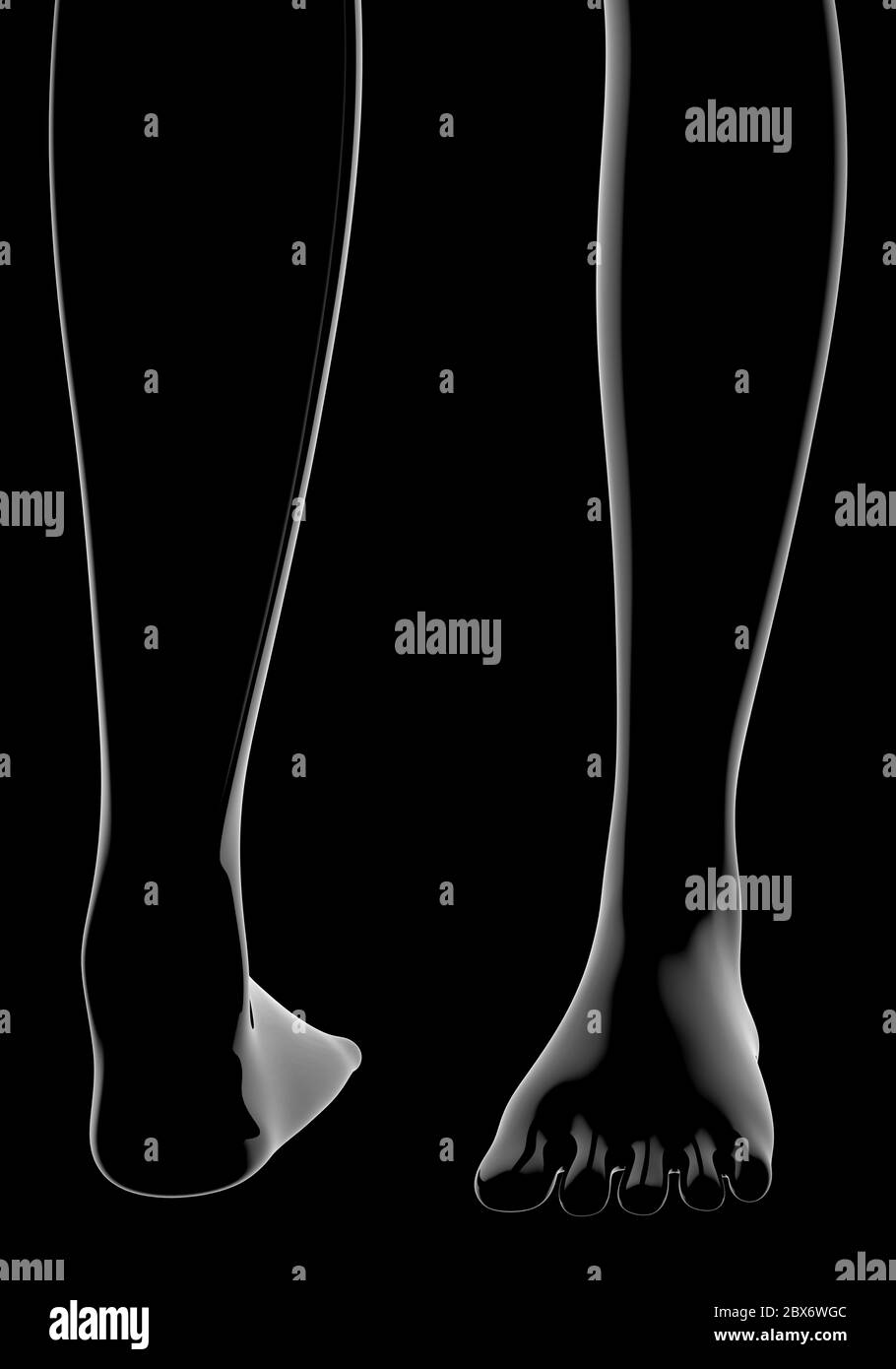 Cross section brain Black and White Stock Photos & Images - Alamy