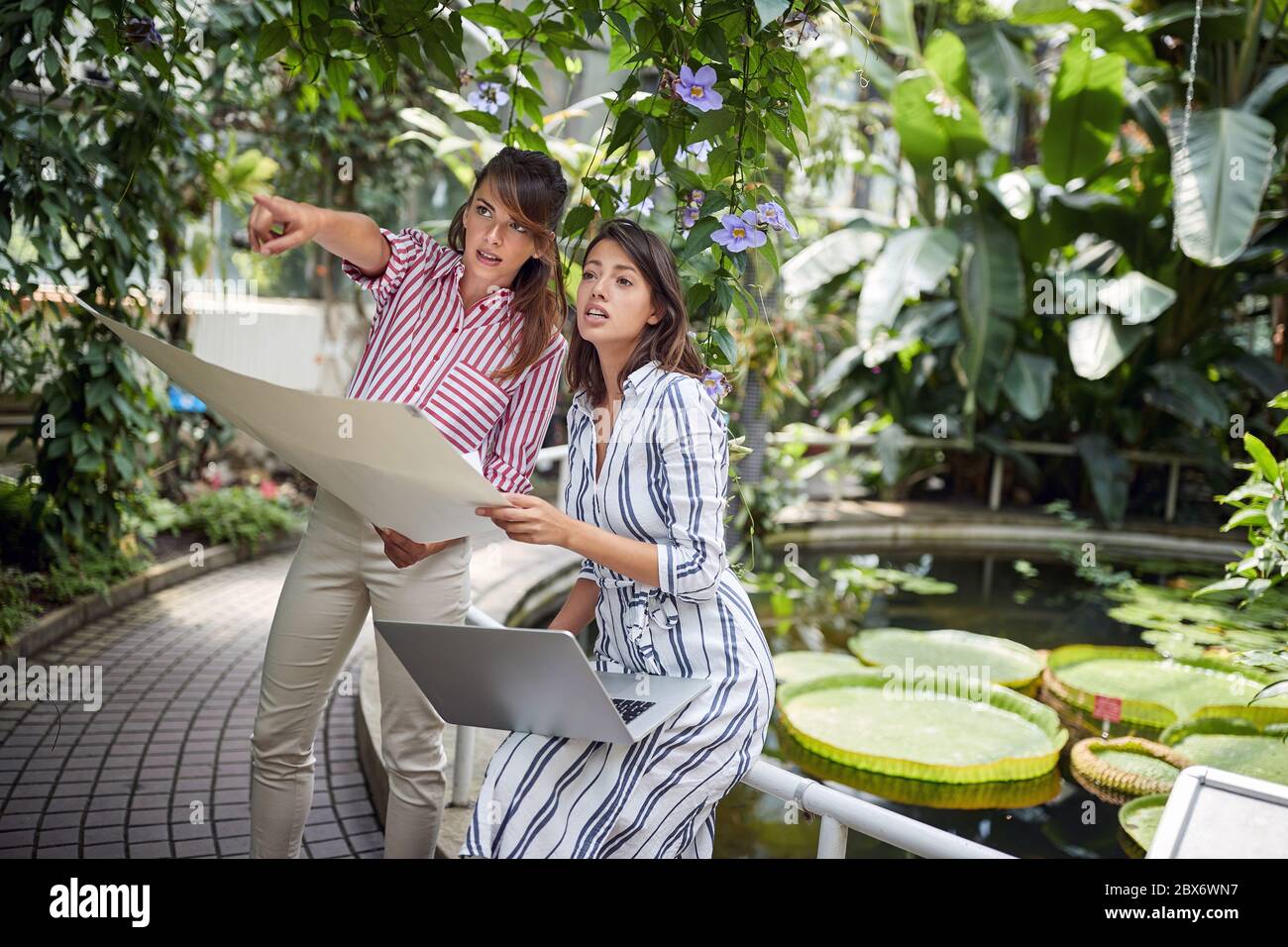 two female landscape architects planning improvement in botanical ...