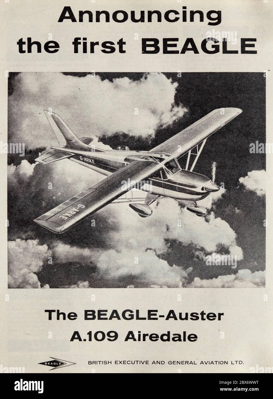 Beagle a109 airedale hi-res stock photography and images - Alamy