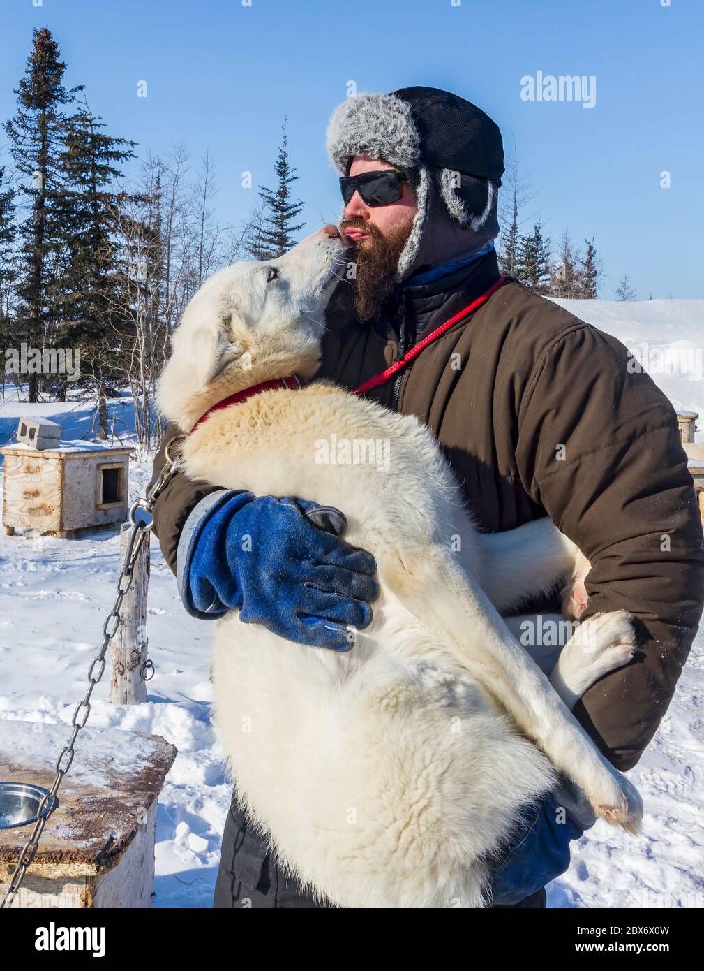 Man bonding with dog hi-res stock photography and images - Alamy