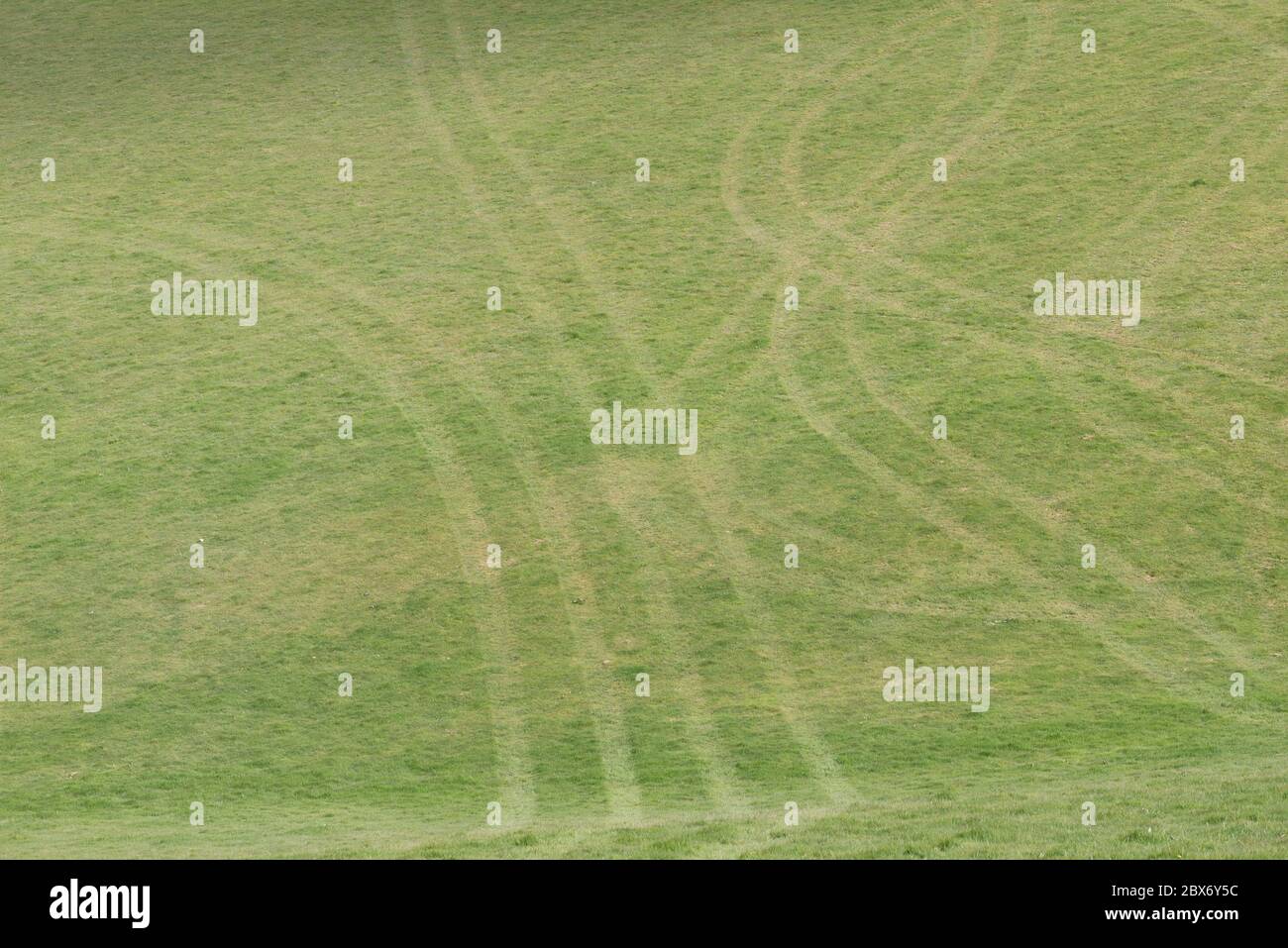 Field tramlines hi-res stock photography and images - Alamy