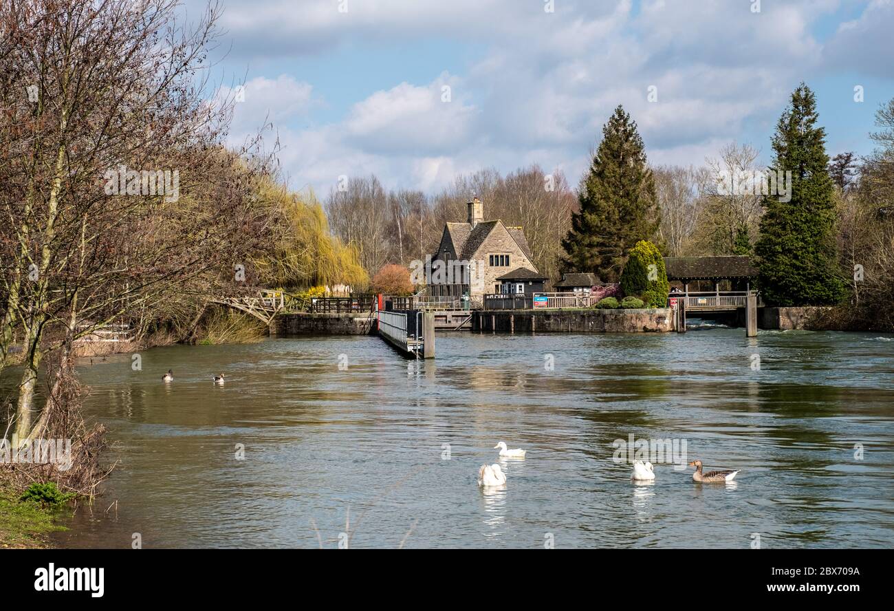 Iffley Lock on the River Thames, Oxford. Looking downstream Stock Photo ...