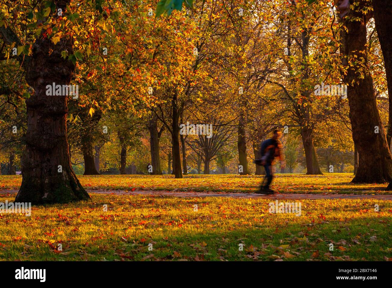 Roller blading cycling hi-res stock photography and images - Alamy