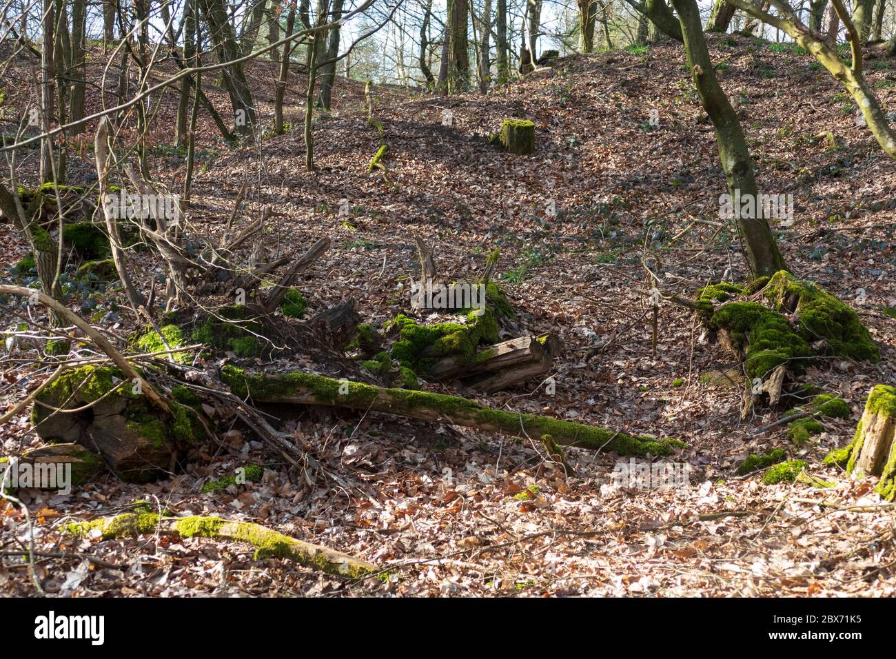 Baden baden sandweier hi-res stock photography and images - Alamy
