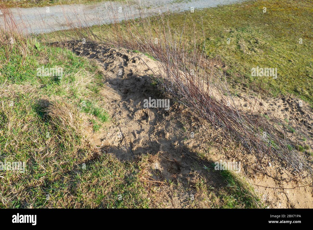 Baden baden sandweier hi-res stock photography and images - Alamy