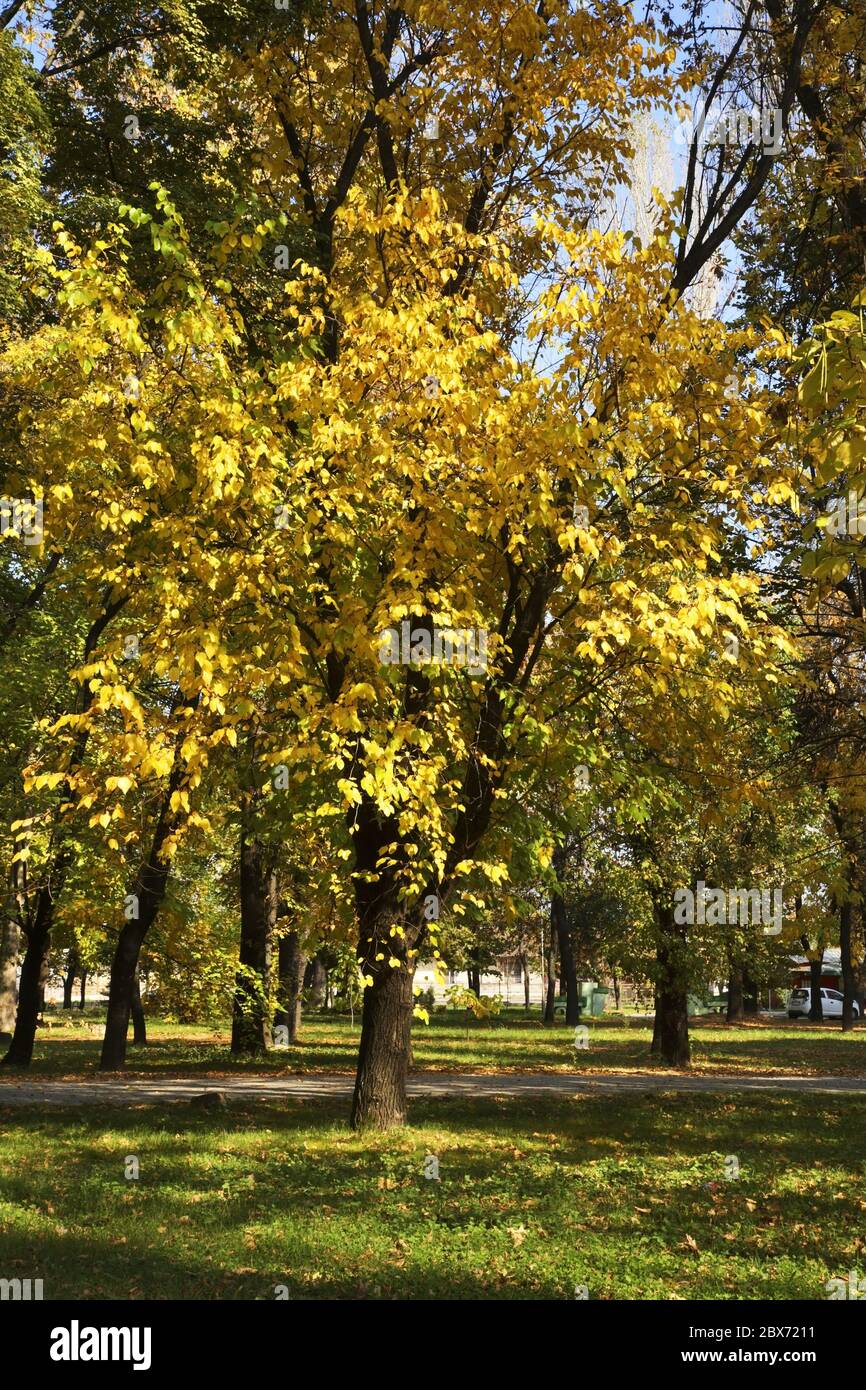 Bitola city park hi-res stock photography and images - Alamy