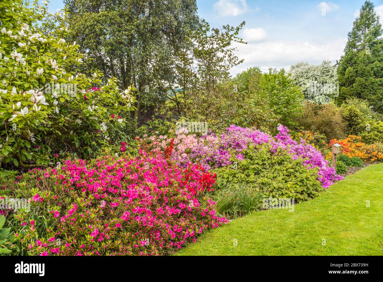 Colourful garden spring hi-res stock photography and images - Alamy