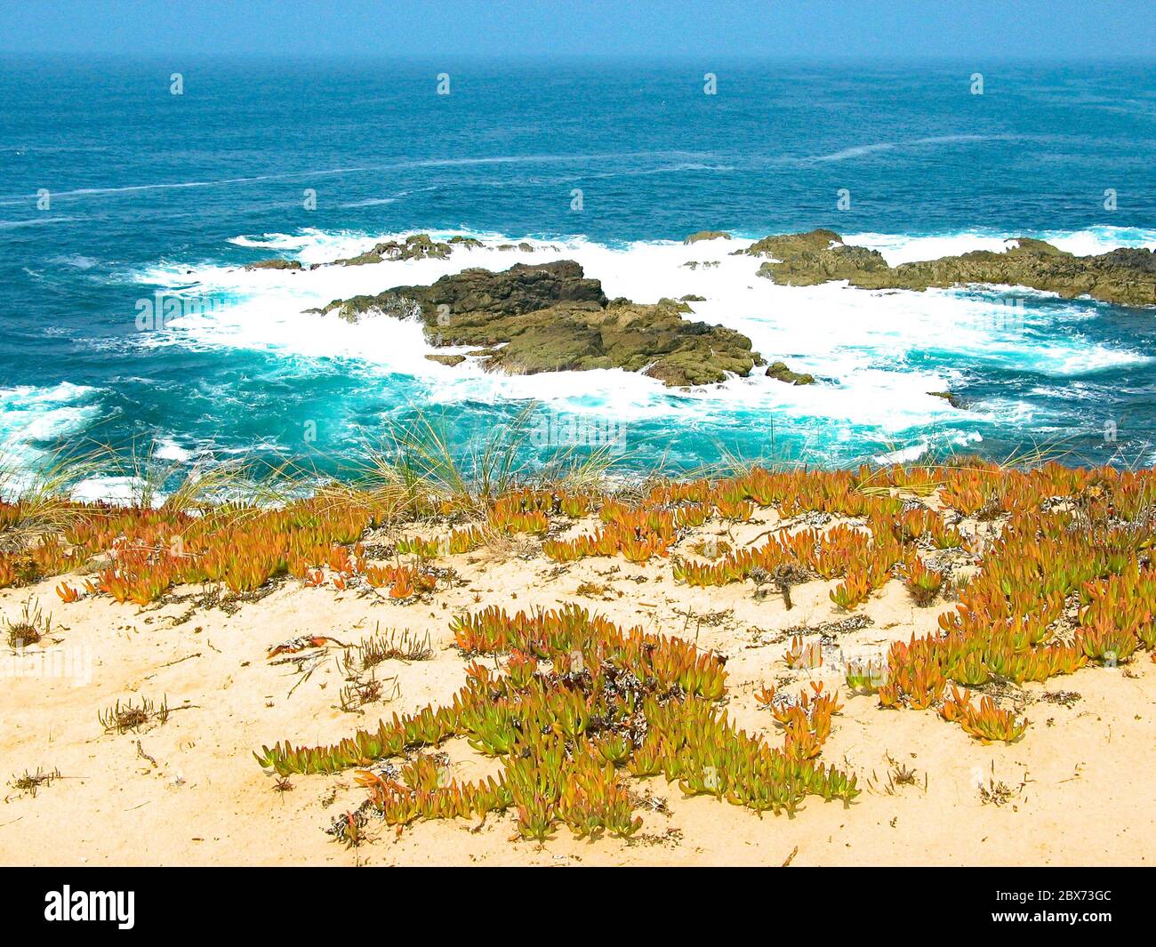 Dunes and beach vegetation, rocky reef and blue Atlantic Ocean waters ...