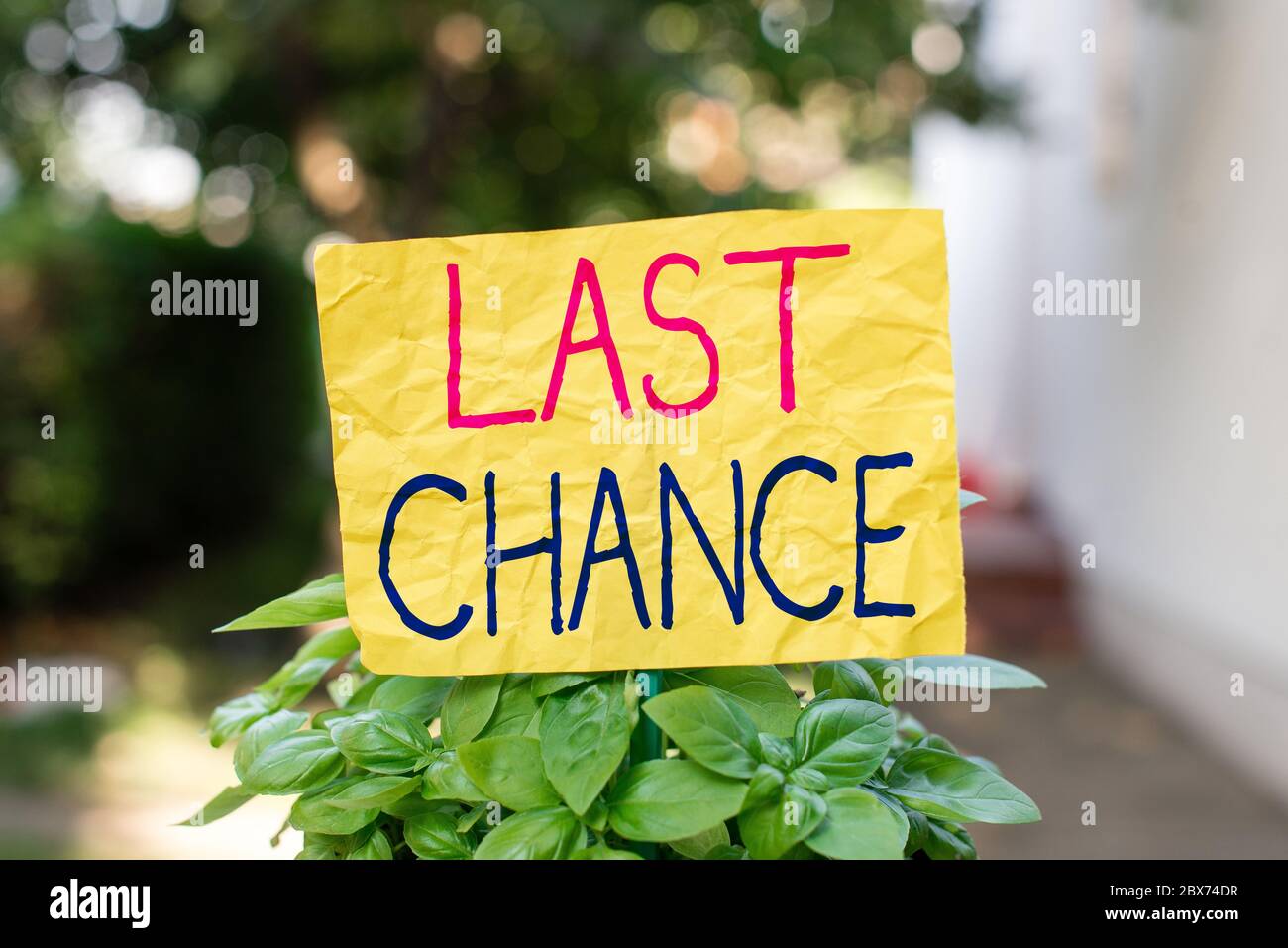 Round Final High Resolution Stock Photography and Images - Alamy